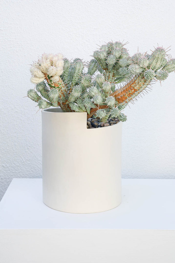 LEVEL-UP POT – Ümlaut Ceramics